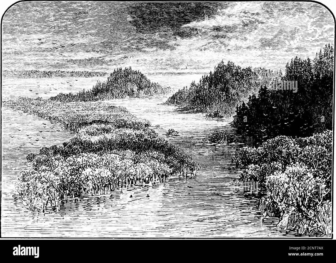 . La Sibérie en Europe : visite de la vallée de la Petchora, dans le ...