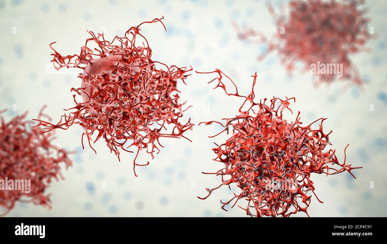 Cellules du cancer du col de l'utérus, illustration informatique Photo ...