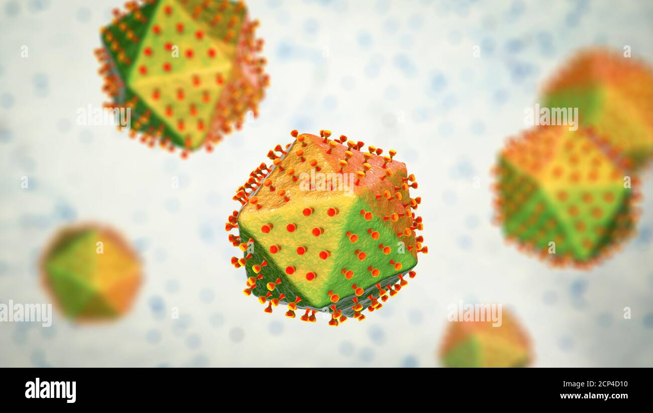 Virus de la peste porcine africaine, illustration. Ce virus fait partie ...