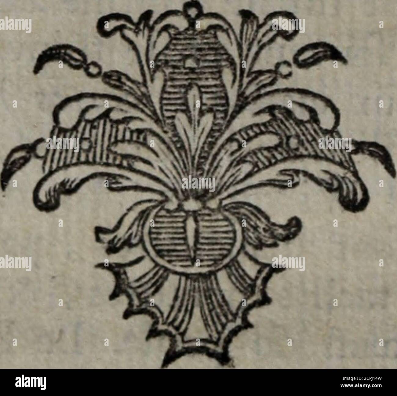 P 5 corbeau Banque de photographies et d’images à haute résolution - Alamy