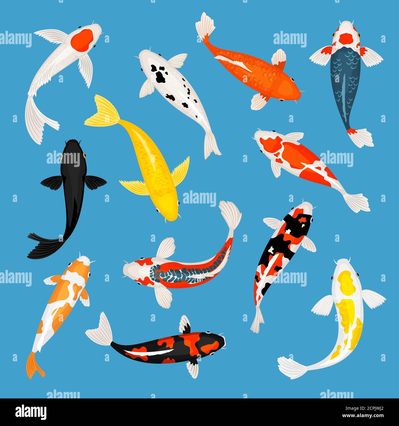 Poisson koï. Illustration vectorielle de poissons carpe koï, rouge et ...