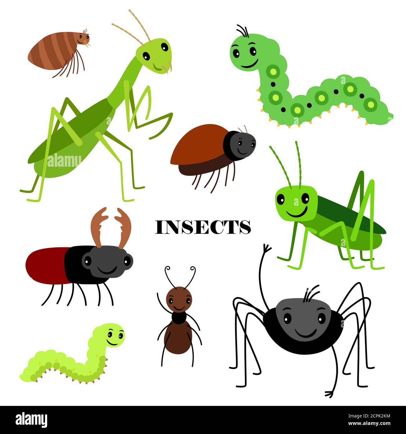 Illustration d'insectes vecteurs rampants isolés sur fond blanc ...