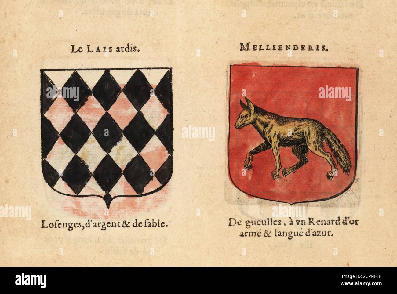 Blason chevaliers de la table ronde Banque de photographies et d’images ...