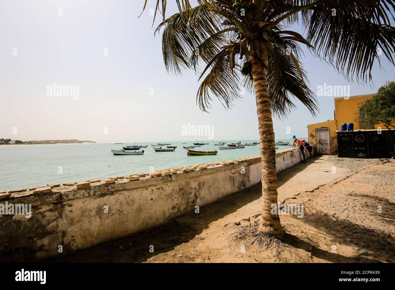 Fish sal rei boa vista cape verde Banque de photographies et d’images à ...