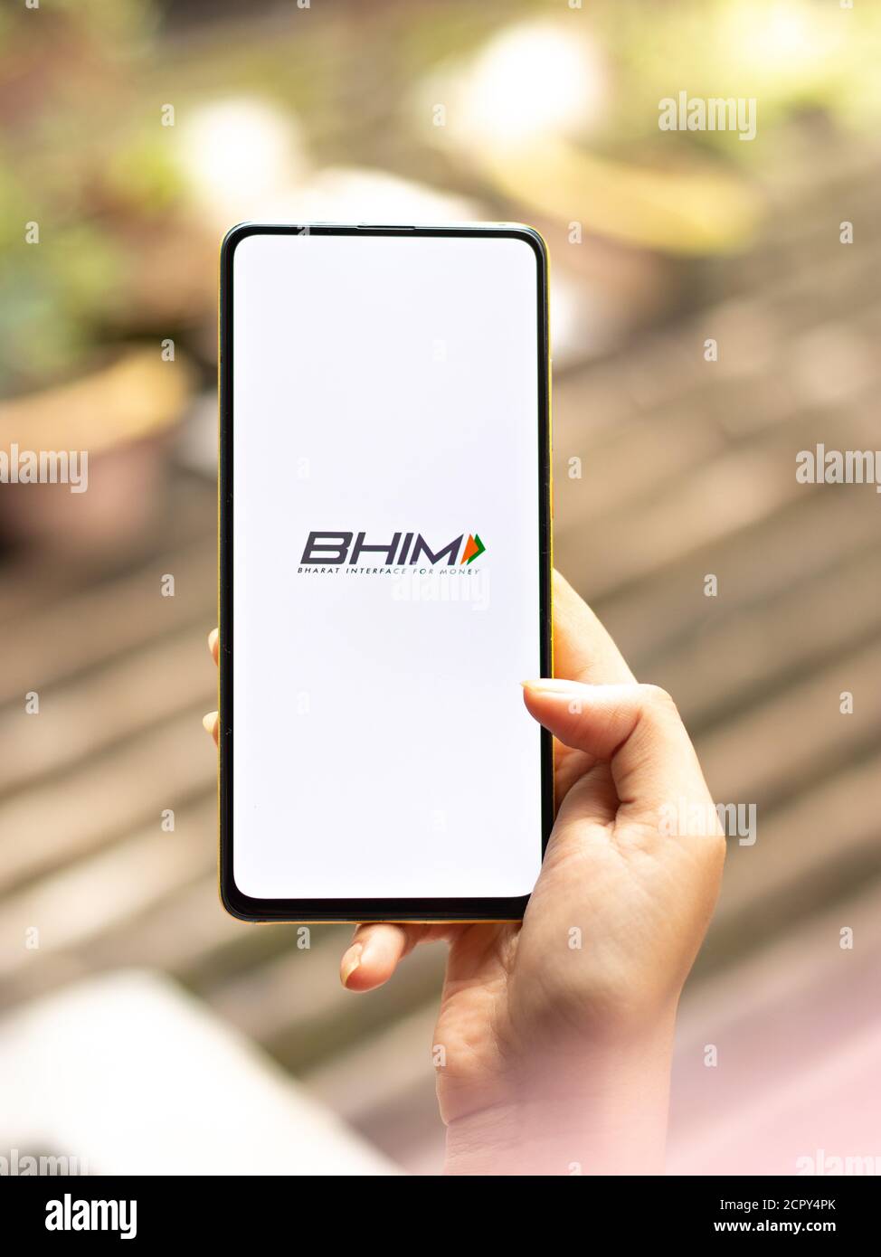 Logo bhim upi Banque de photographies et d’images à haute résolution ...