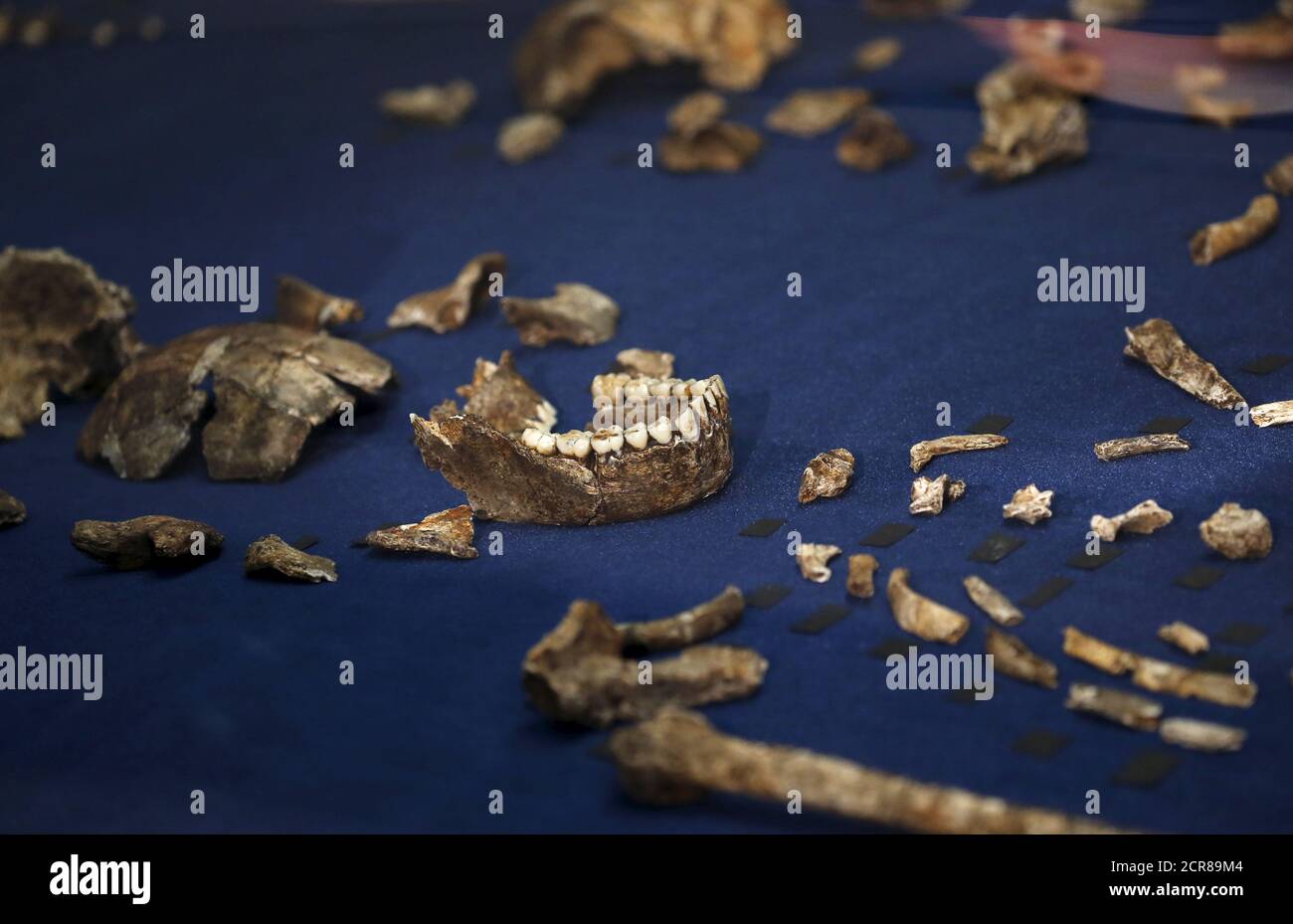 Sterkfontein cave Banque d'image et photos - Alamy