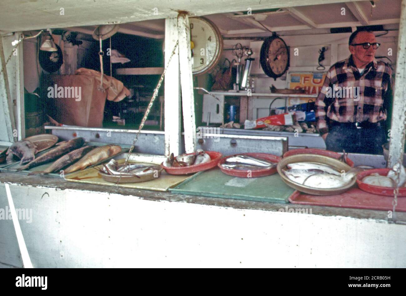 Sheepshead fish Banque de photographies et d’images à haute résolution ...