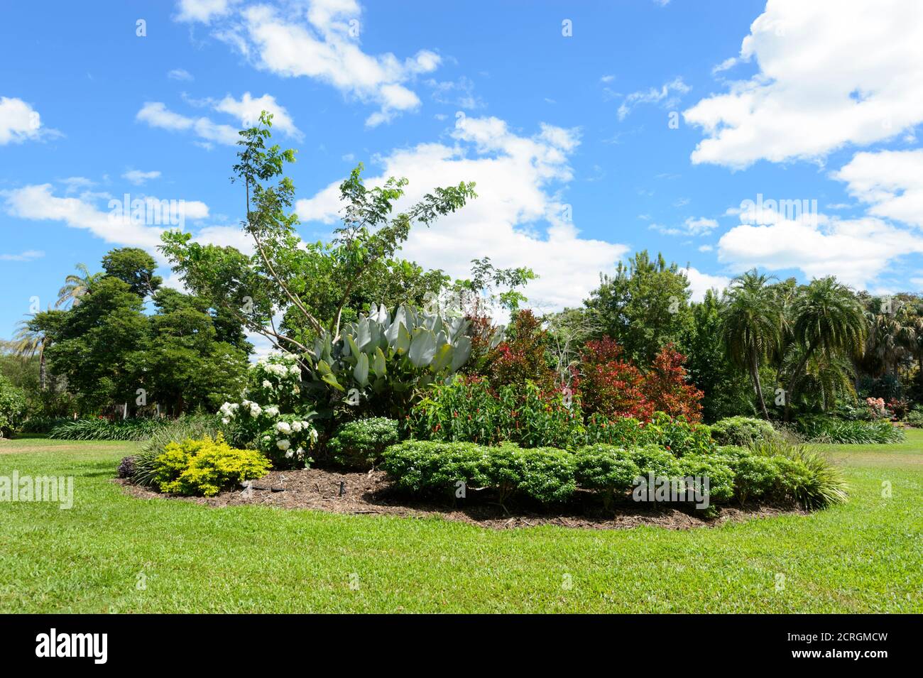 George brown botanic garden Banque de photographies et d’images à haute ...