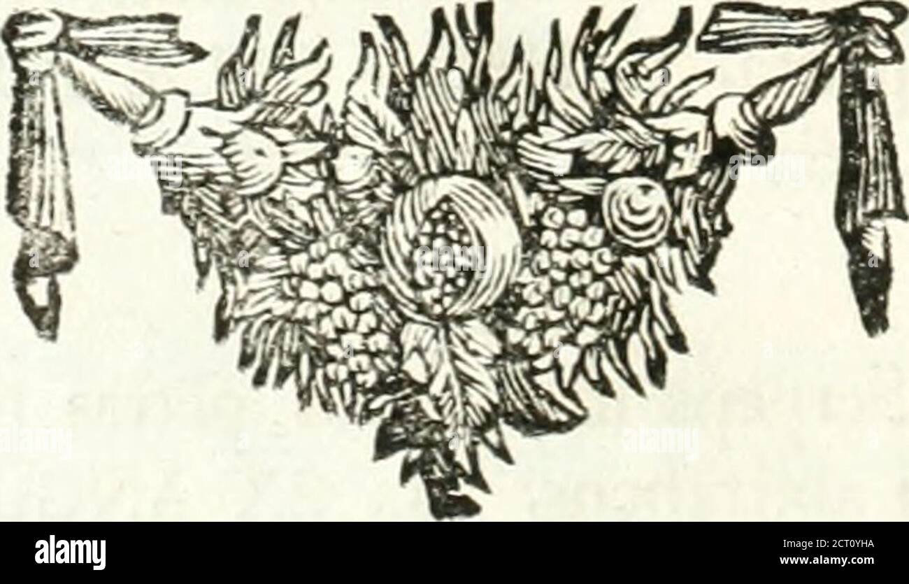 Tenax et fidelis Banque de photographies et d’images à haute résolution ...