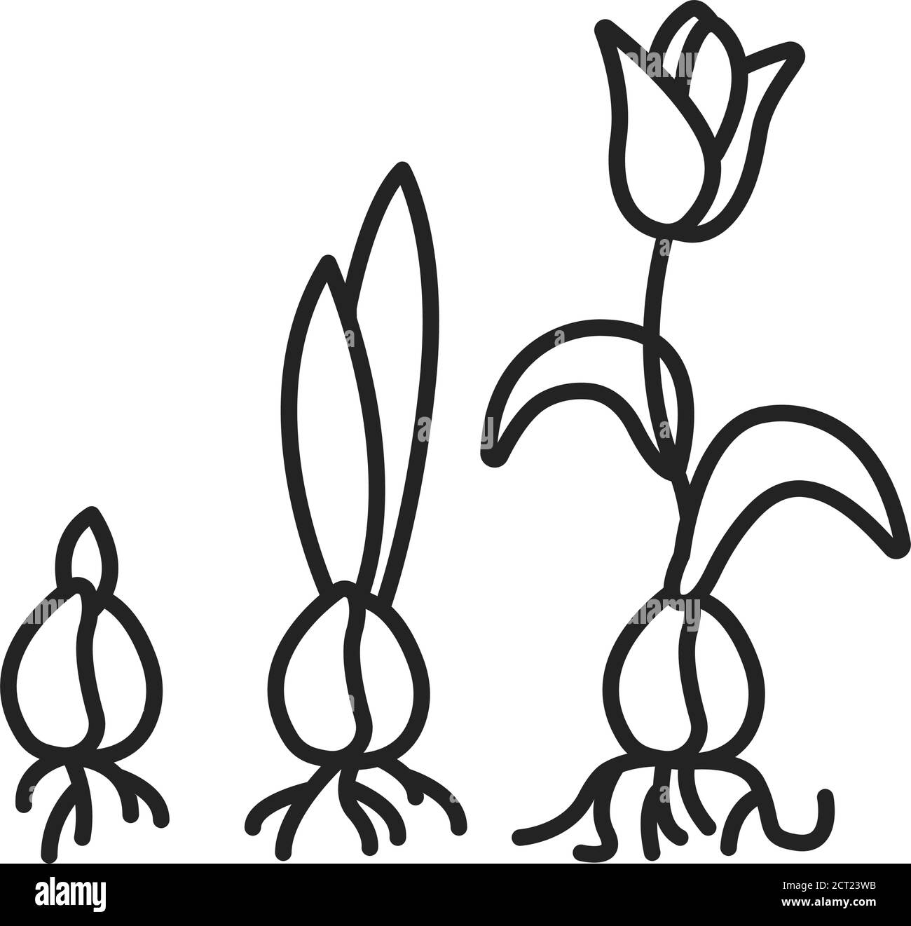 Icône de la ligne noire des stades de croissance des plantes. Les ...