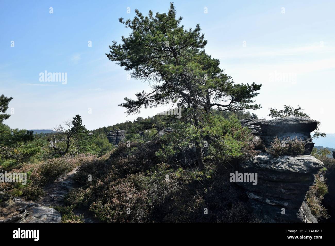 Les roches de Tisa ou les murs de Tisa sont un groupe bien connu de ...