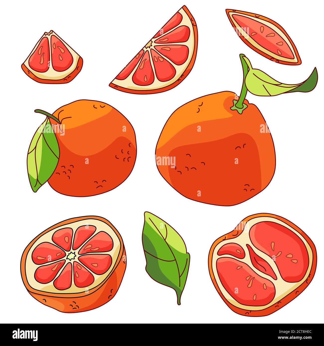 Nourriture citrique Banque d'images vectorielles - Alamy