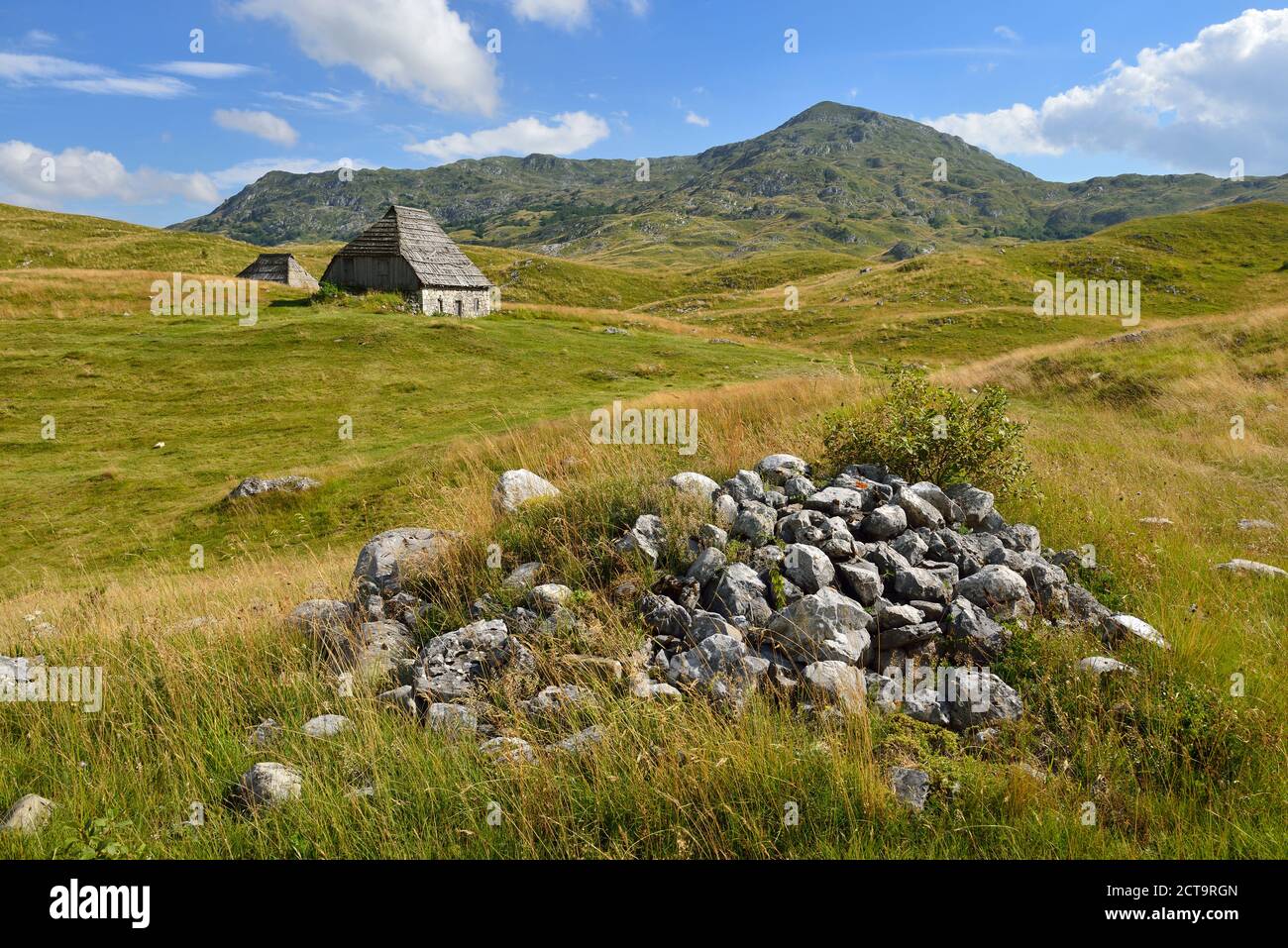 Steppe montagnarde sur le plateau de sinjavina ou sinjajevina Banque de ...
