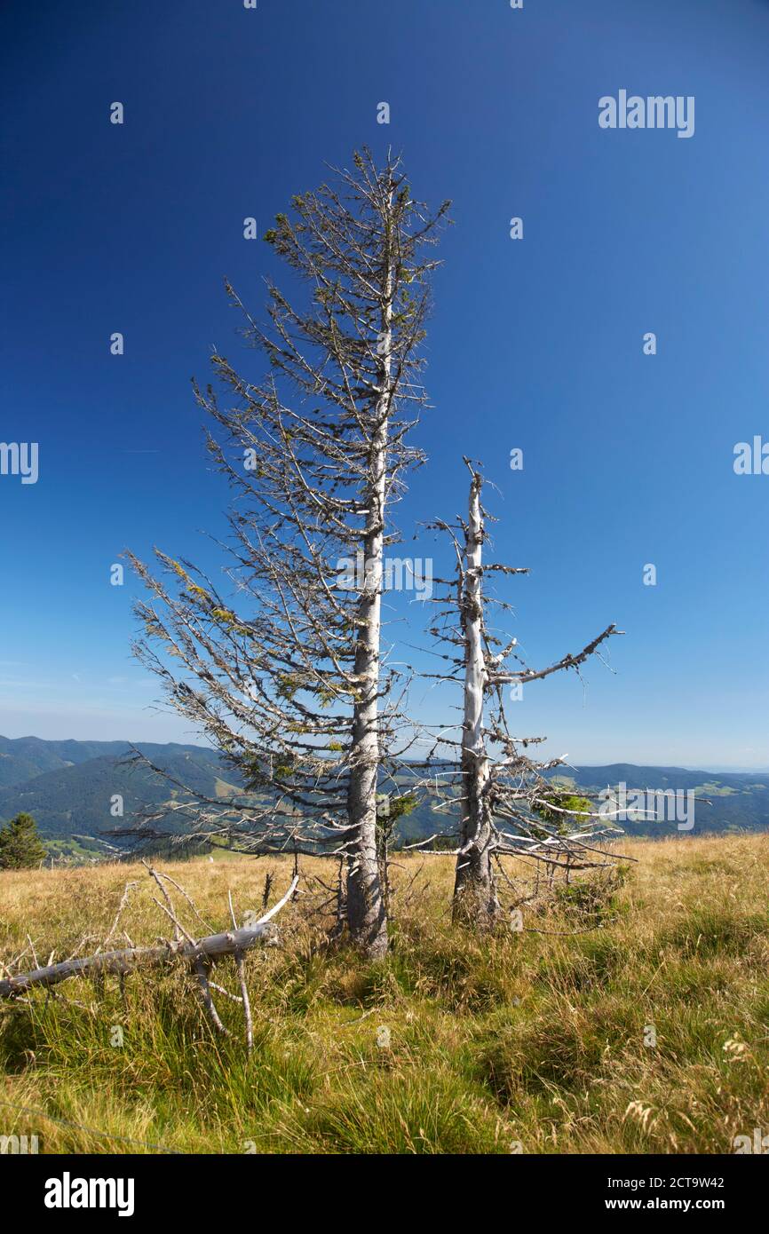 Pluie acide Banque de photographies et d’images à haute résolution - Alamy