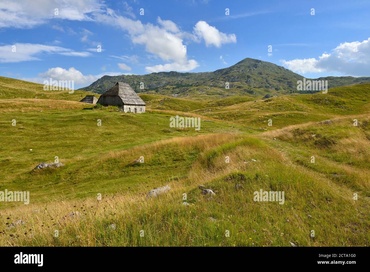 Steppe montagnarde sur le plateau de sinjavina ou sinjajevina Banque de ...
