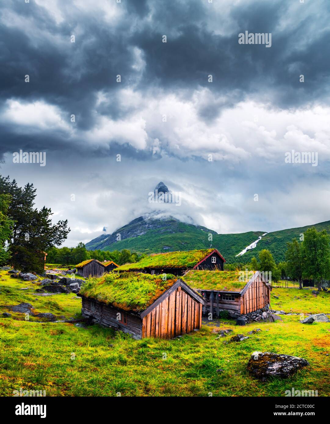 Vieilles maisons en bois typiquement norvégiennes avec toits en herbe à ...