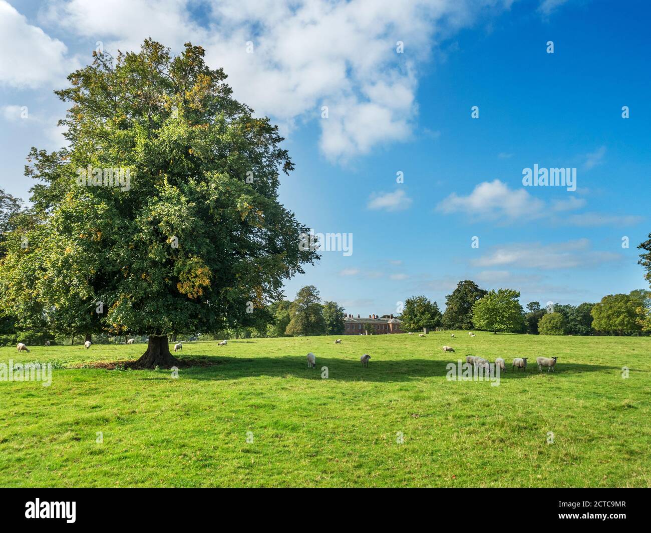 Parc de ribston Banque de photographies et d’images à haute résolution ...