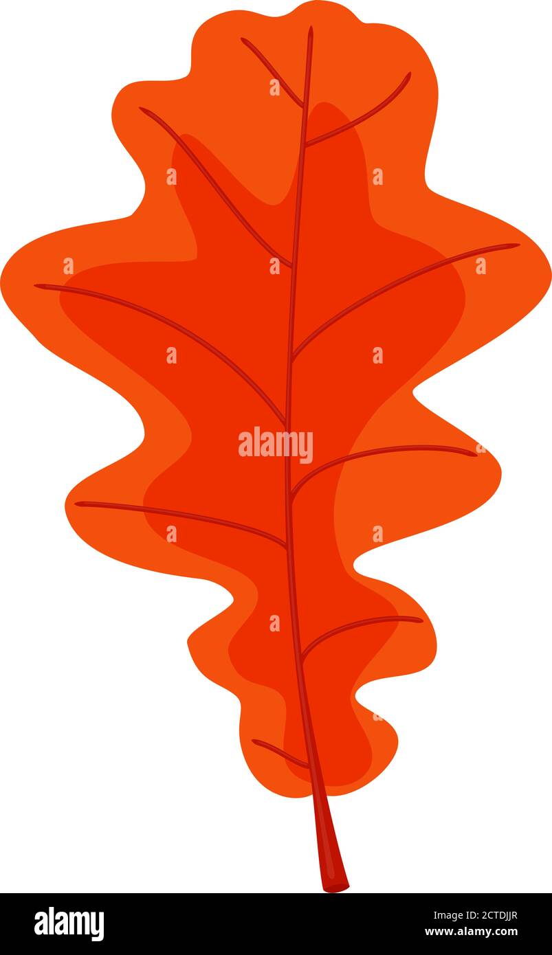Feuille de chêne rouge de dessin animé Image Vectorielle Stock - Alamy