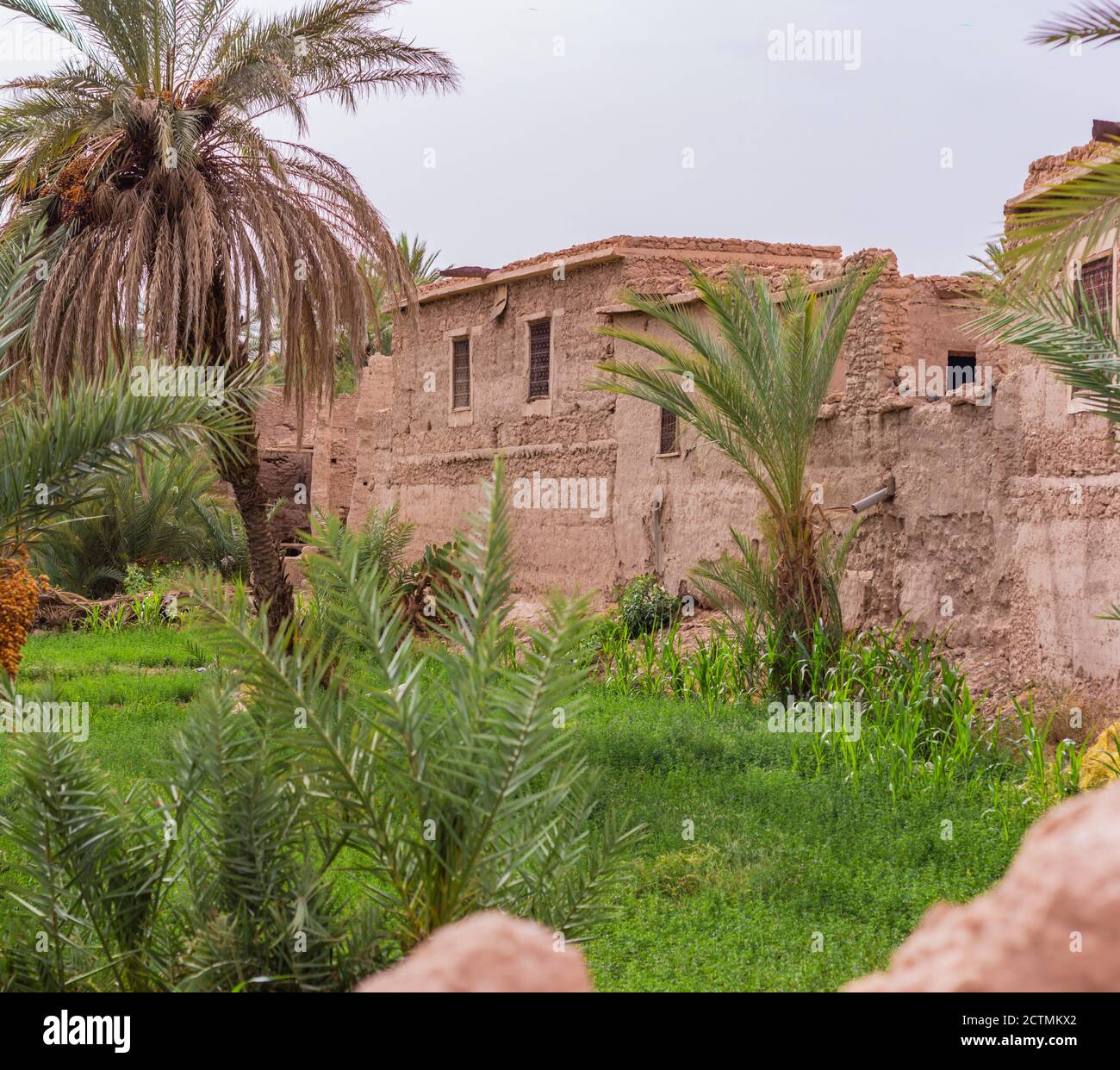Oasis au maroc Banque de photographies et d’images à haute résolution ...