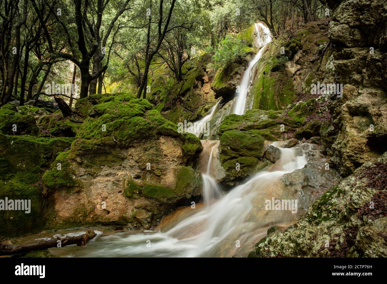 Cascade Salt des Frau, Torrent de Coanegra, Orient, Bunyola, Majorque ...