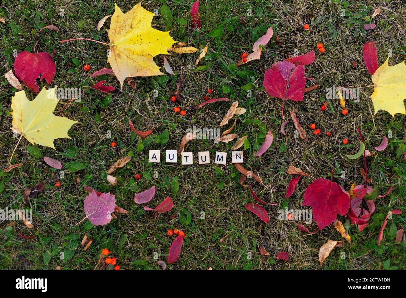 Jeu de mots croisés automne Banque de photographies et d’images à haute ...
