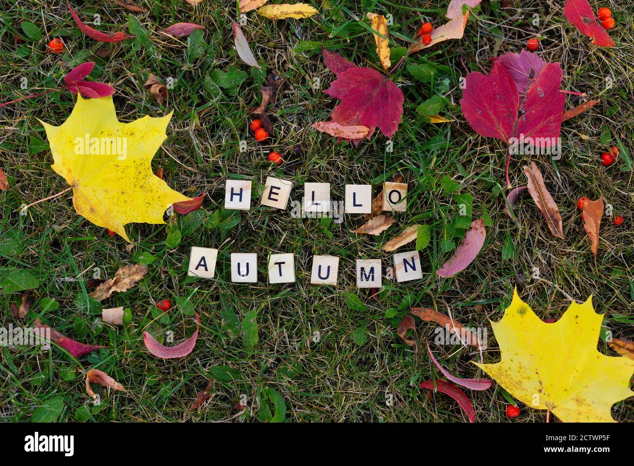 Jeu de mots croisés automne Banque de photographies et d’images à haute ...