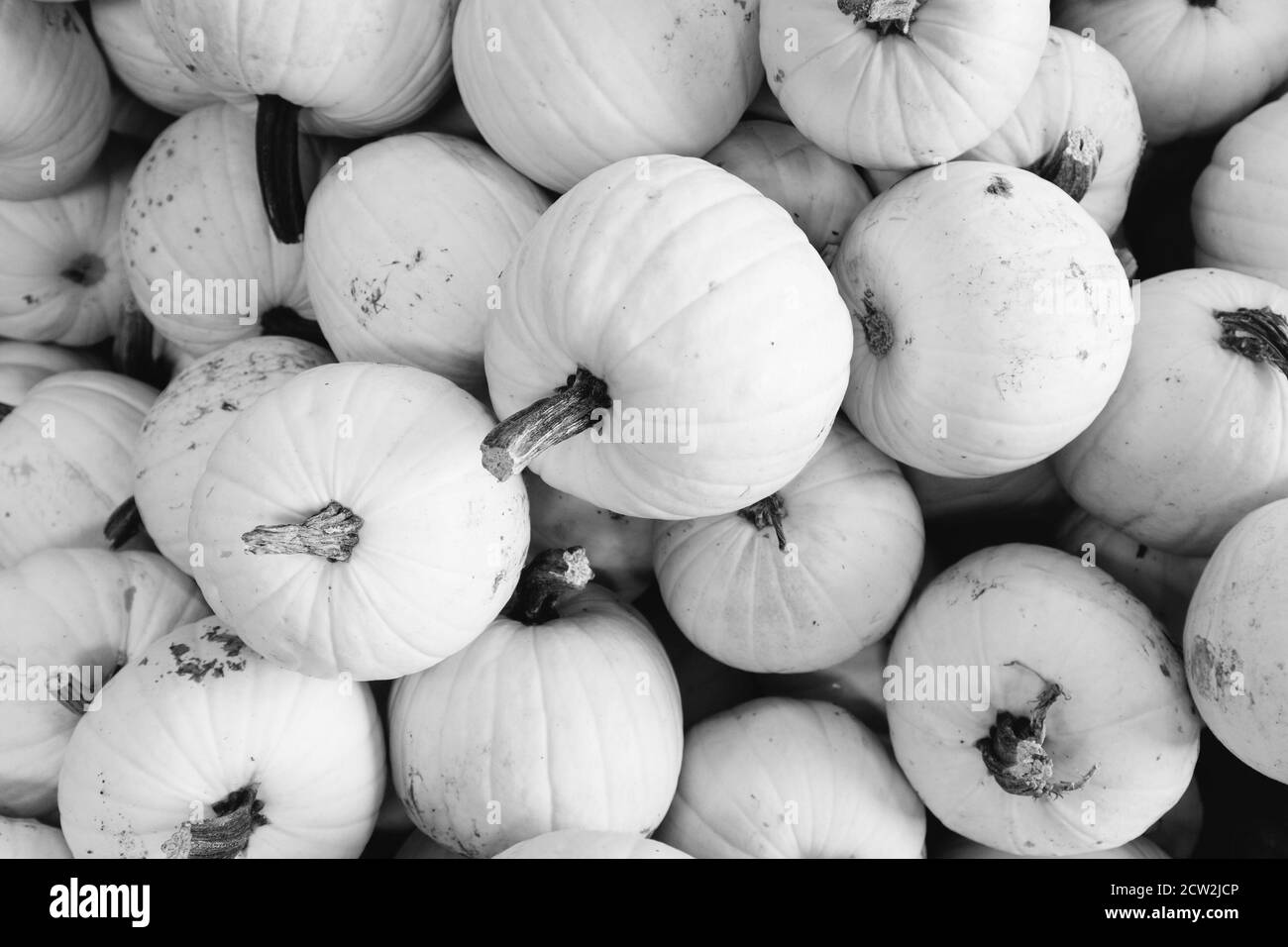 Photographie monochrome en noir et blanc d'un assortiment de ...