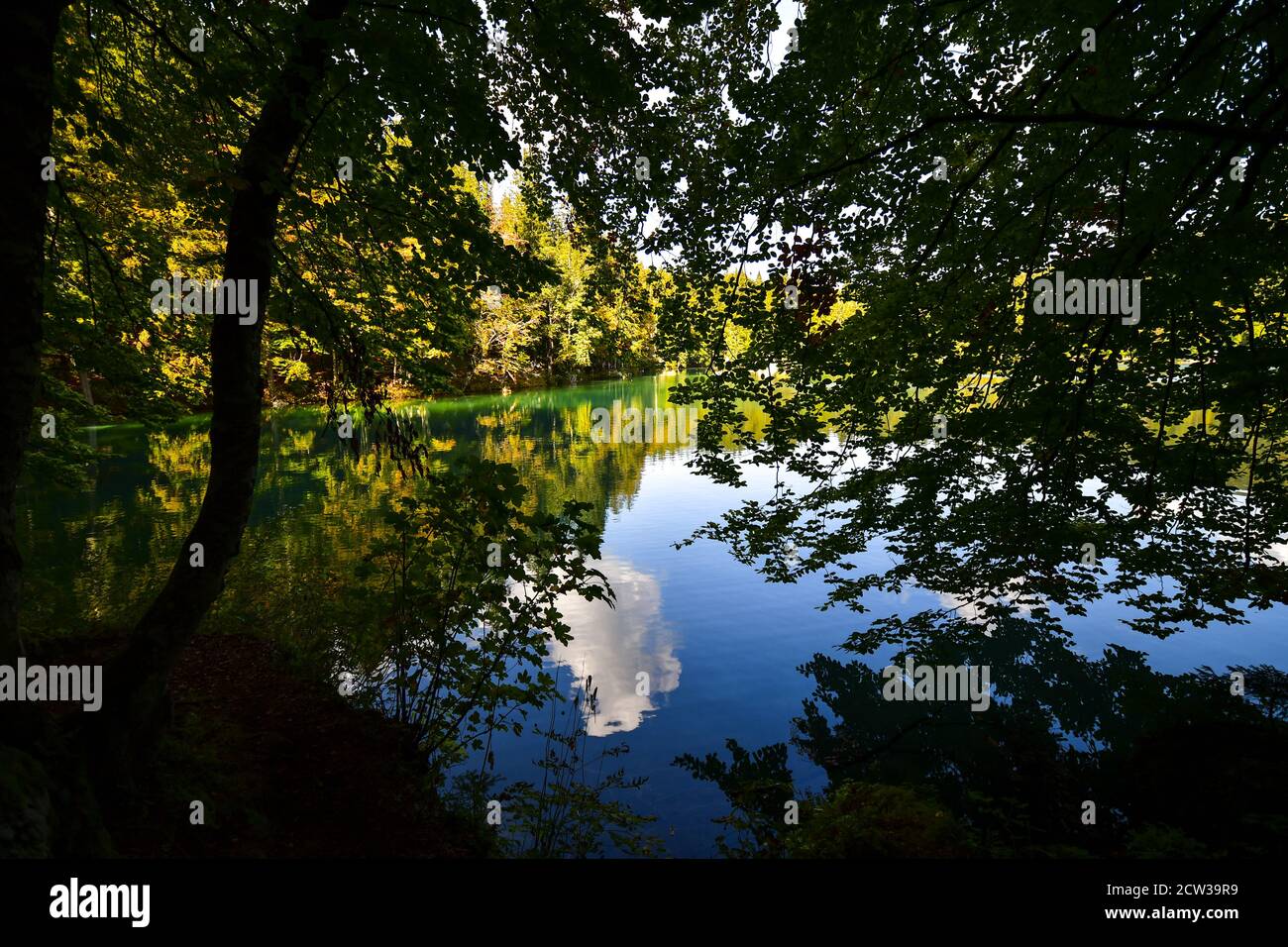 Lac laghi di fusine italie Banque de photographies et d’images à haute ...