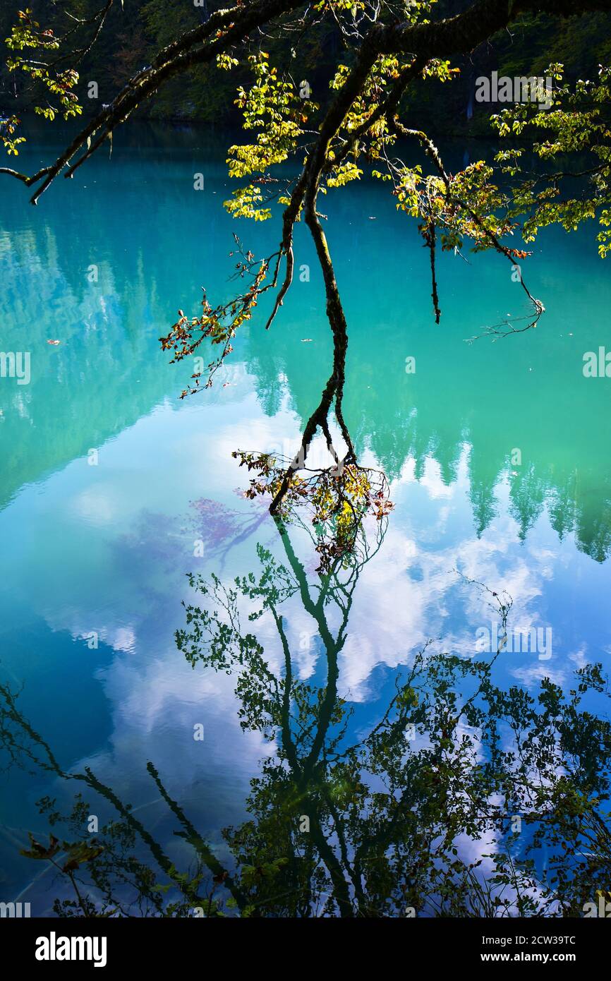 Lac laghi di fusine italie Banque de photographies et d’images à haute ...