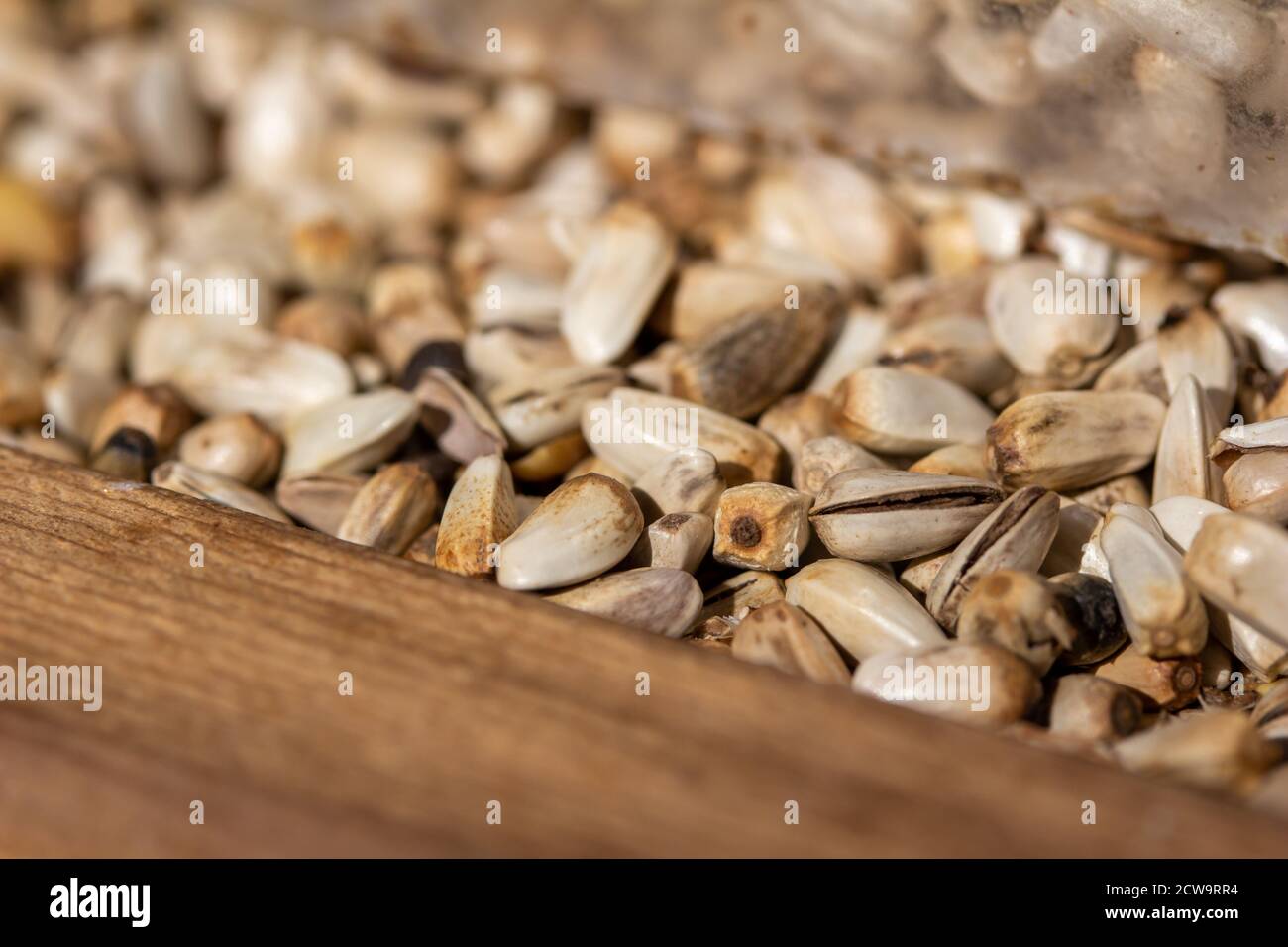Macro résumé texture arrière-plan des graines de carthame blanches dans ...