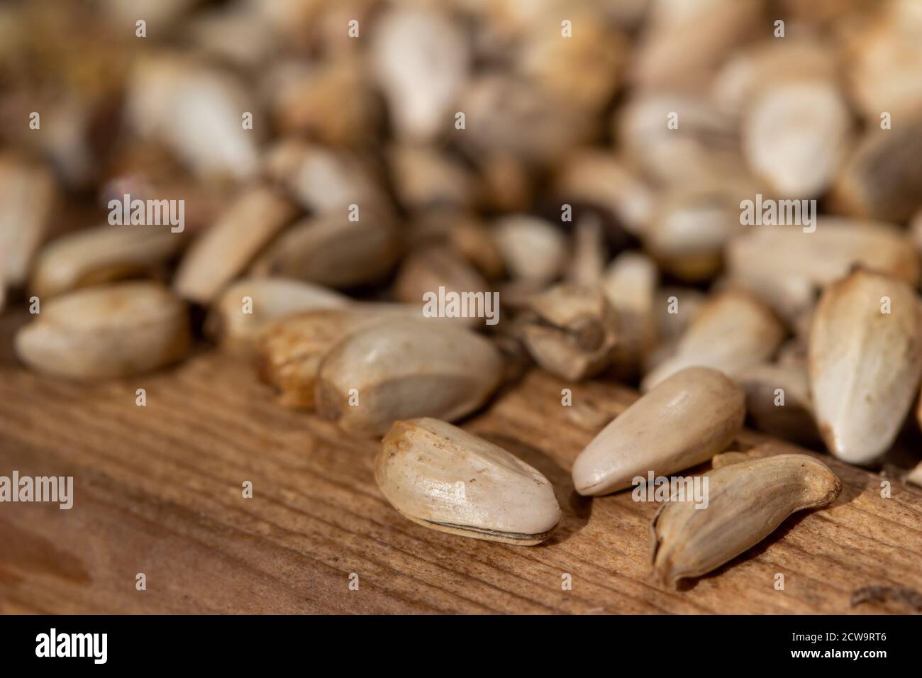 Macro résumé texture arrière-plan des graines de carthame blanches dans ...