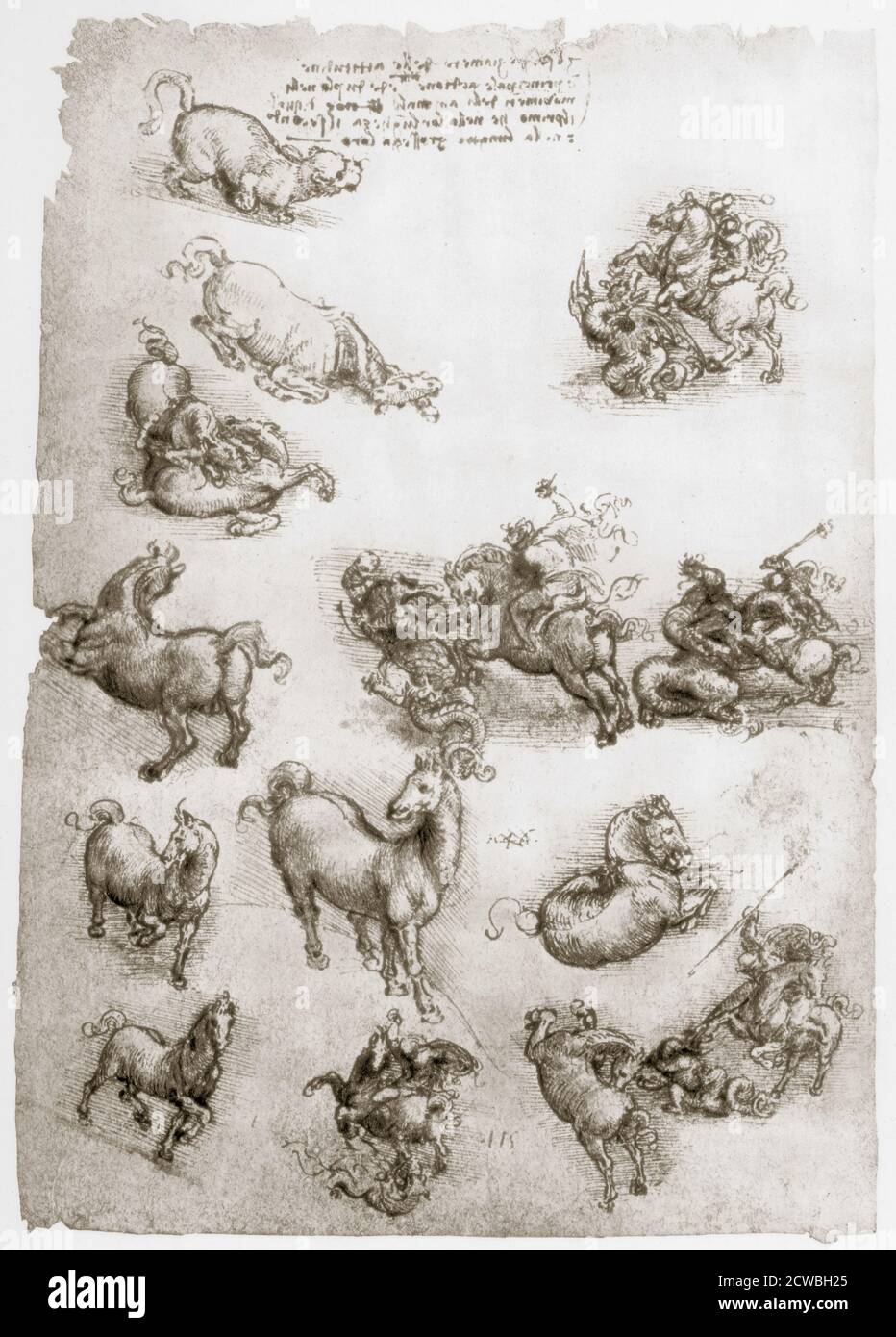 St George et le Dragon' par Léonard de Vinci, c1506. De la collection ...