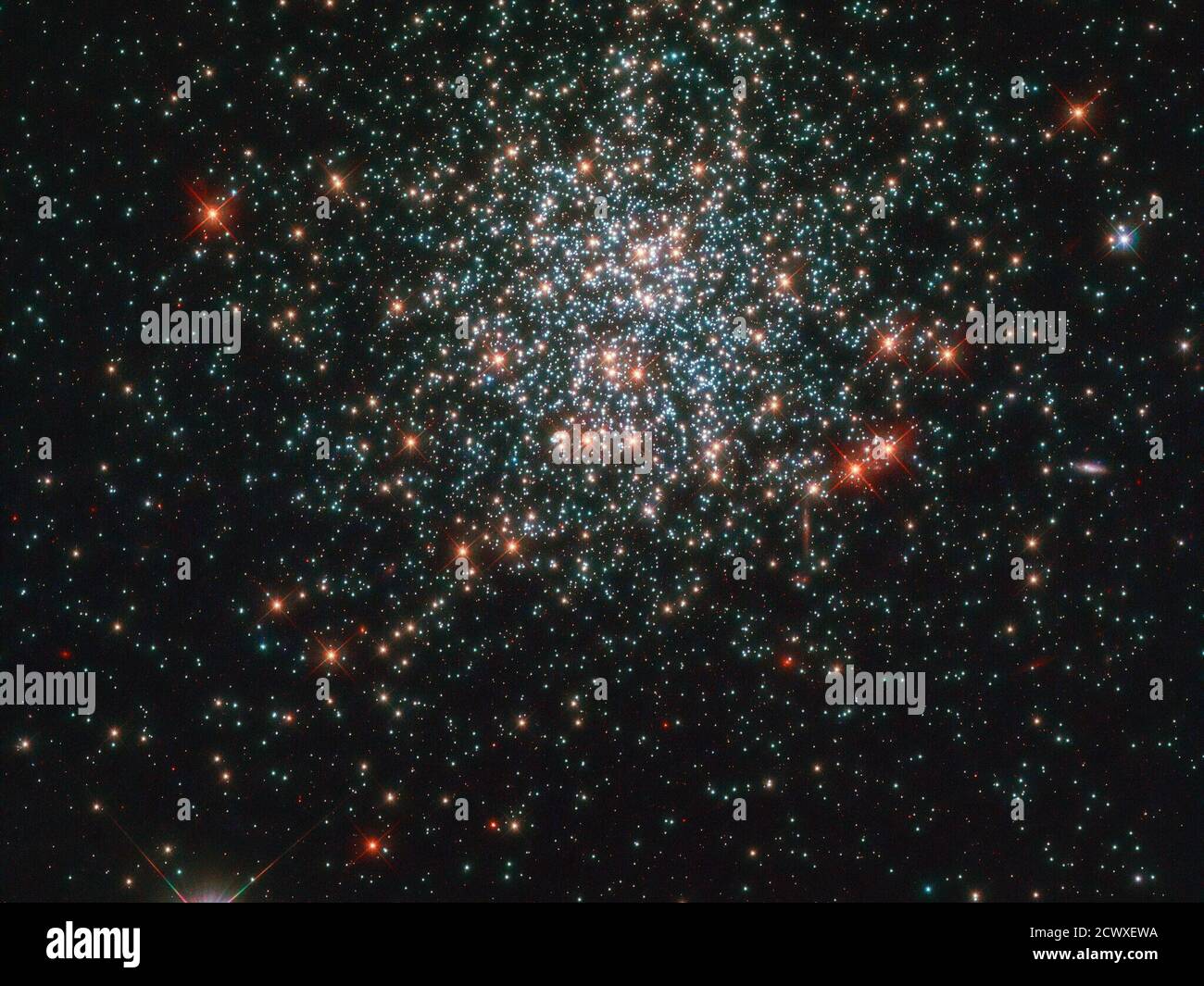 Le télescope spatial Hubble a capturé une image de l'amas d'étoiles NGC 2203, révélant ses ...