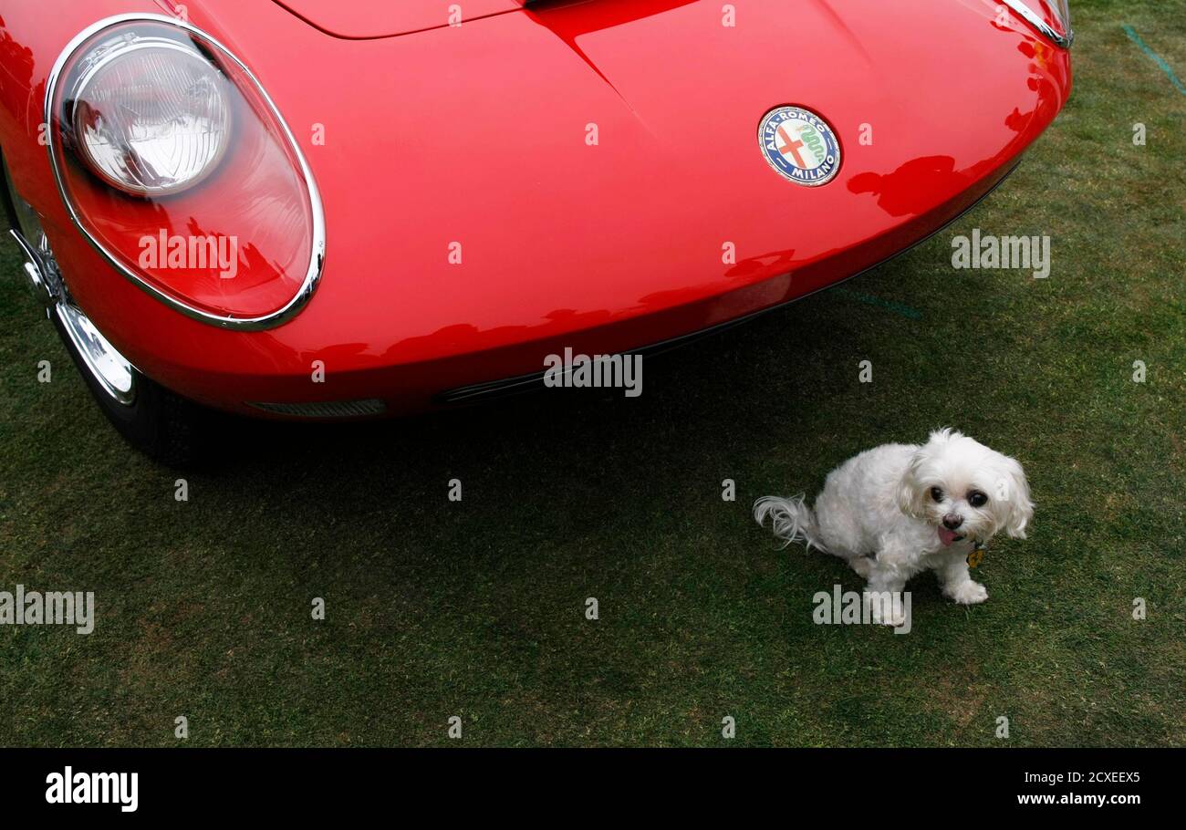 Loisir 1960 nature Banque de photographies et d’images à haute ...