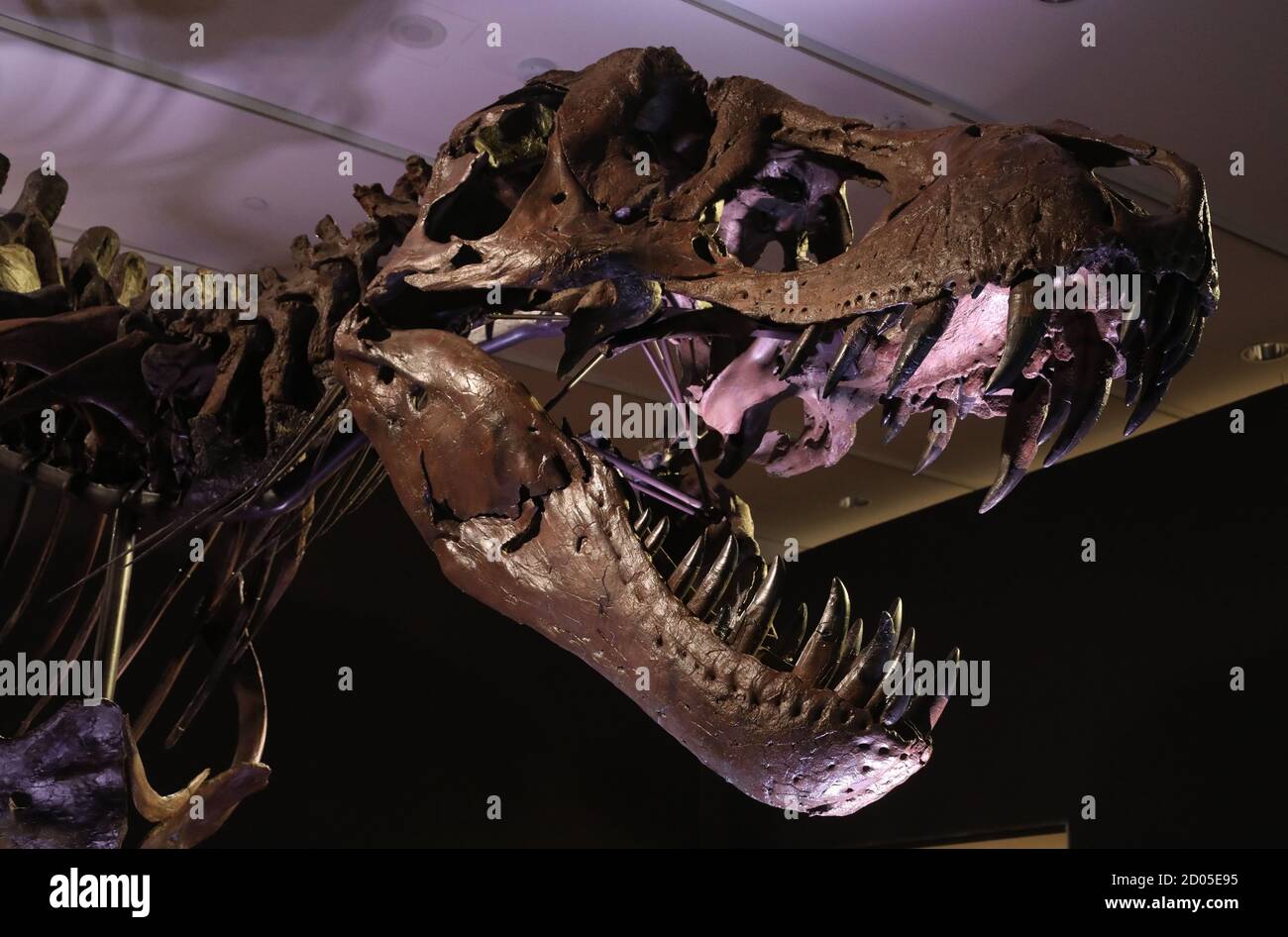 New York, New York, États-Unis. 2 octobre 2020. Une vue de 'Stan le T ...