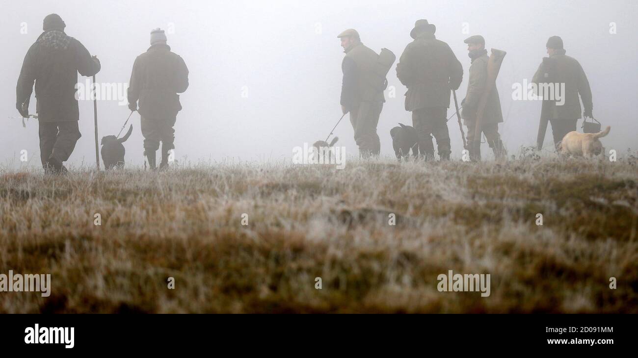 Fusil de chasse faisan Banque de photographies et d’images à haute ...