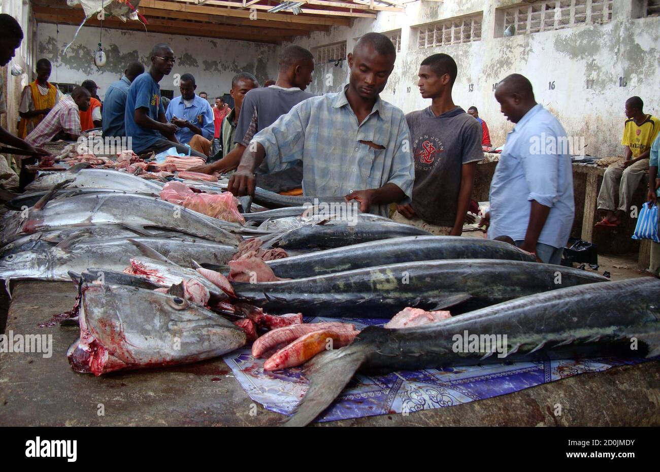 Mogadishu Fish Market Somalia Banque d'image et photos - Alamy