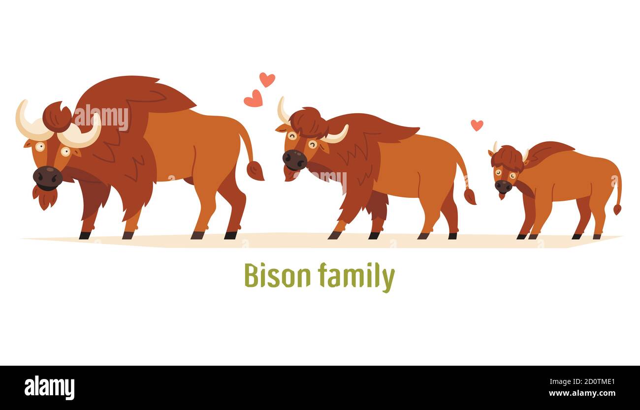 Bison maman et veau Banque d'images vectorielles - Alamy