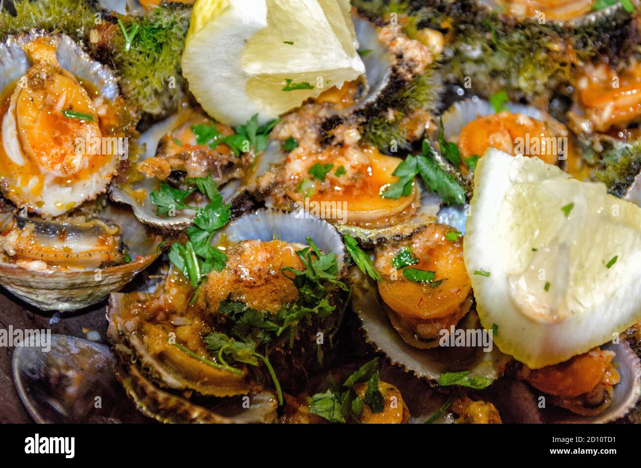 Lapas açores Banque de photographies et d’images à haute résolution - Alamy