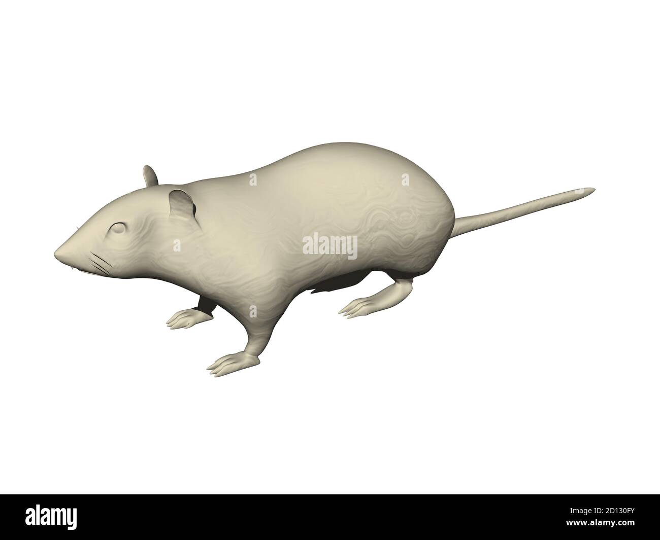 Rat de laboratoire Banque de photographies et d’images à haute ...