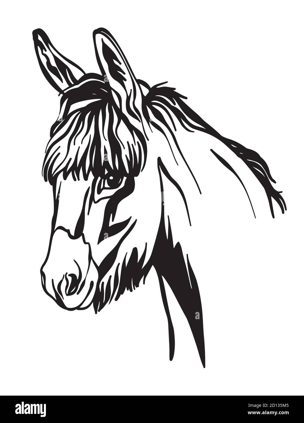 Donkey silhouette Banque de photographies et d’images à haute ...