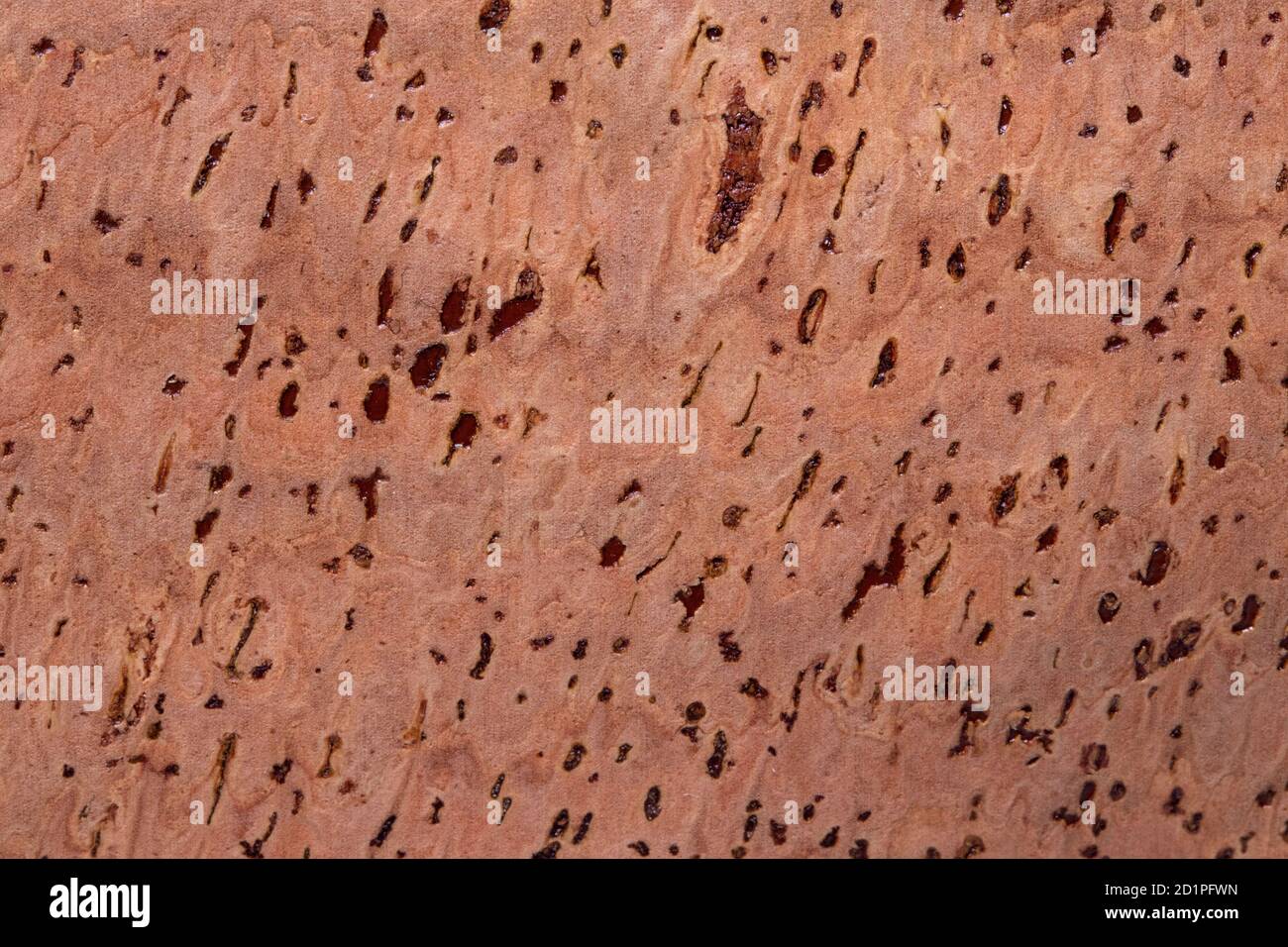 Texture d'arrière-plan en liège. Gros plan sur la surface en liège ...