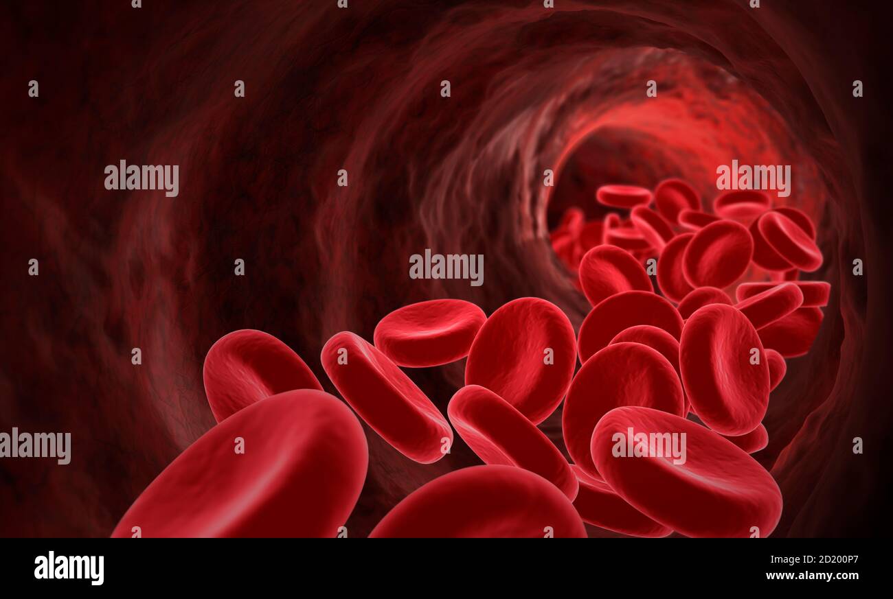 Anatomie microscopique Banque d'image et photos - Page 3 - Alamy