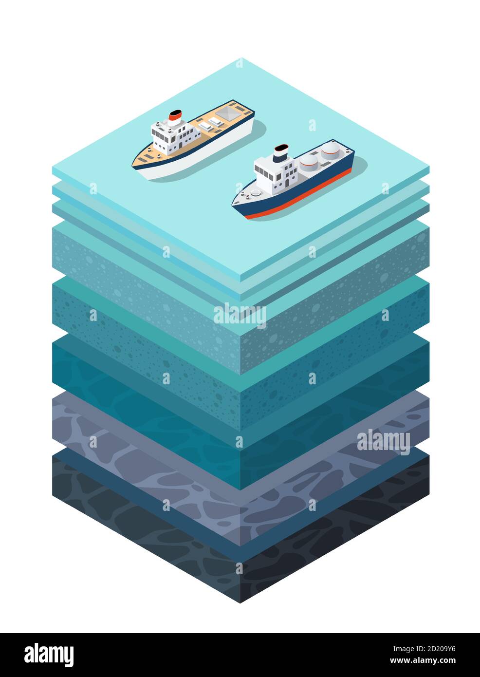 Surface radiculaire Banque d'images vectorielles - Alamy