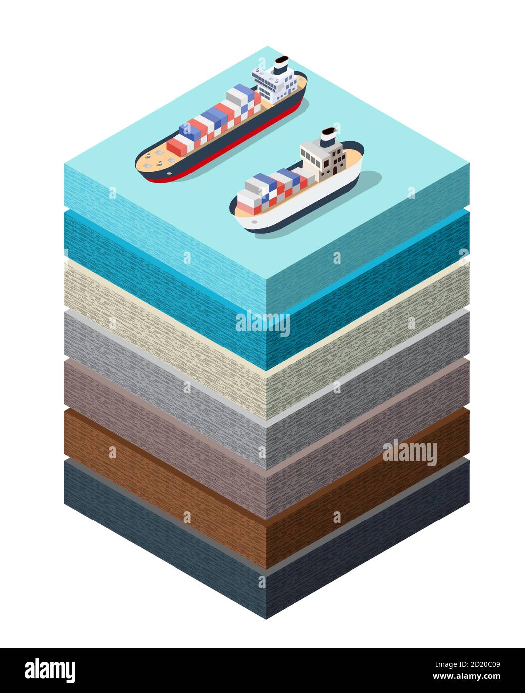 Surface radiculaire Banque d'images vectorielles - Alamy