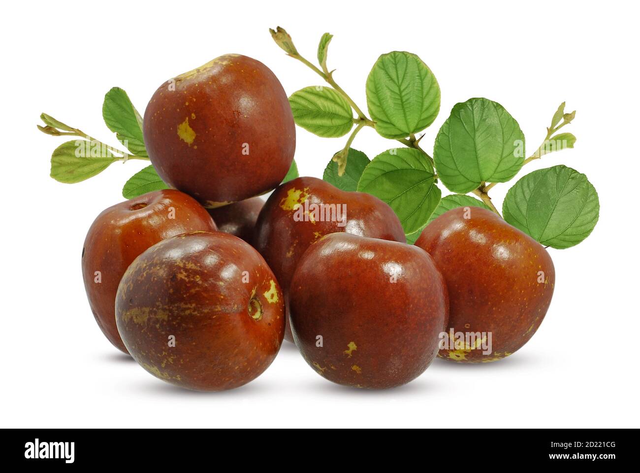 Jujube fruit Banque de photographies et d’images à haute résolution - Alamy