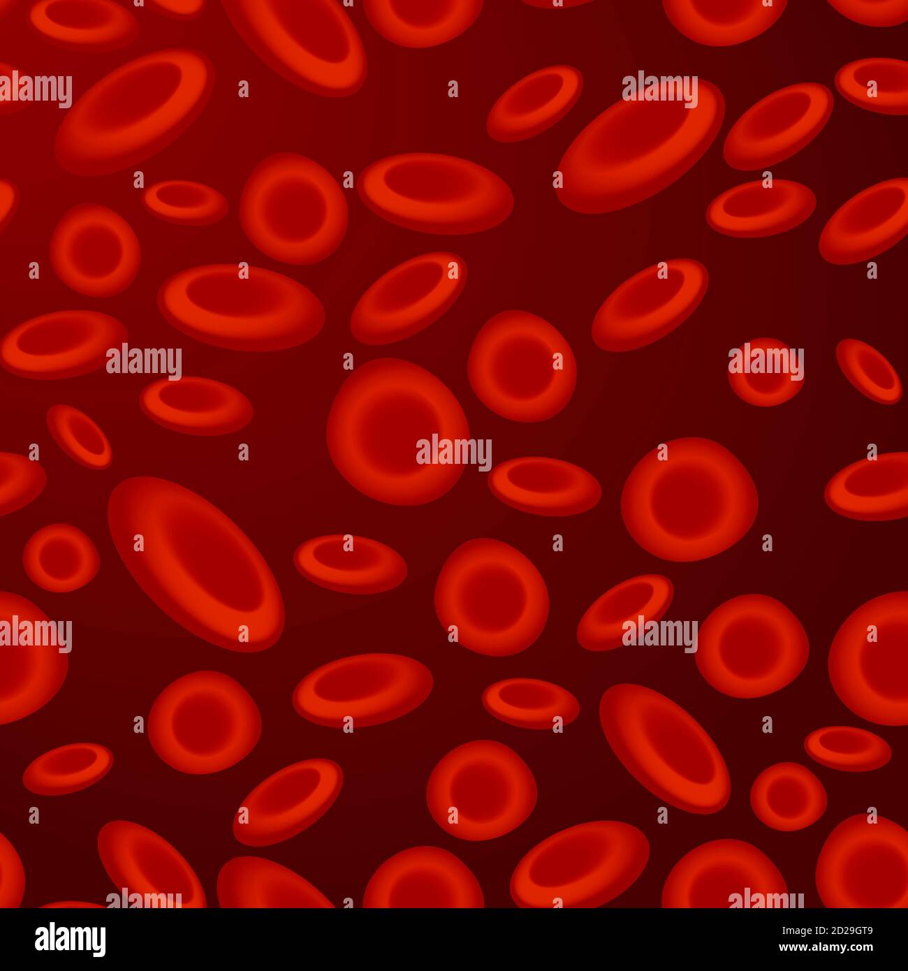 Globules rouges érythrocytes circulant dans le plasma sanguin r ...