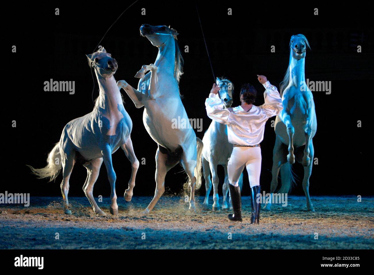 évolution du cheval Banque de photographies et d’images à haute résolution - Alamy