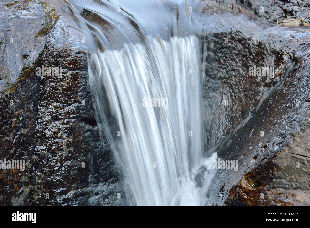 l'eau tombant sur la rivière passe roche et pierre dans la forêt Photo ...