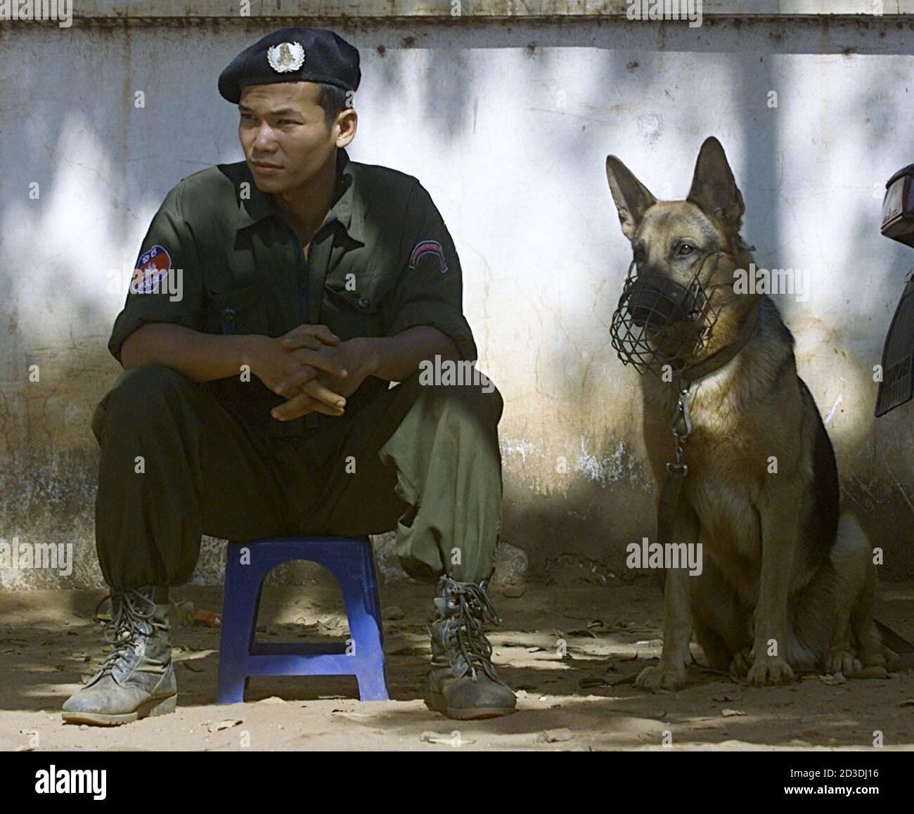 Chien de garde muselé Banque de photographies et d’images à haute ...